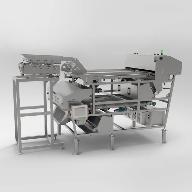 AI Double-Layer Optical Sorter for High Capacity Sorting